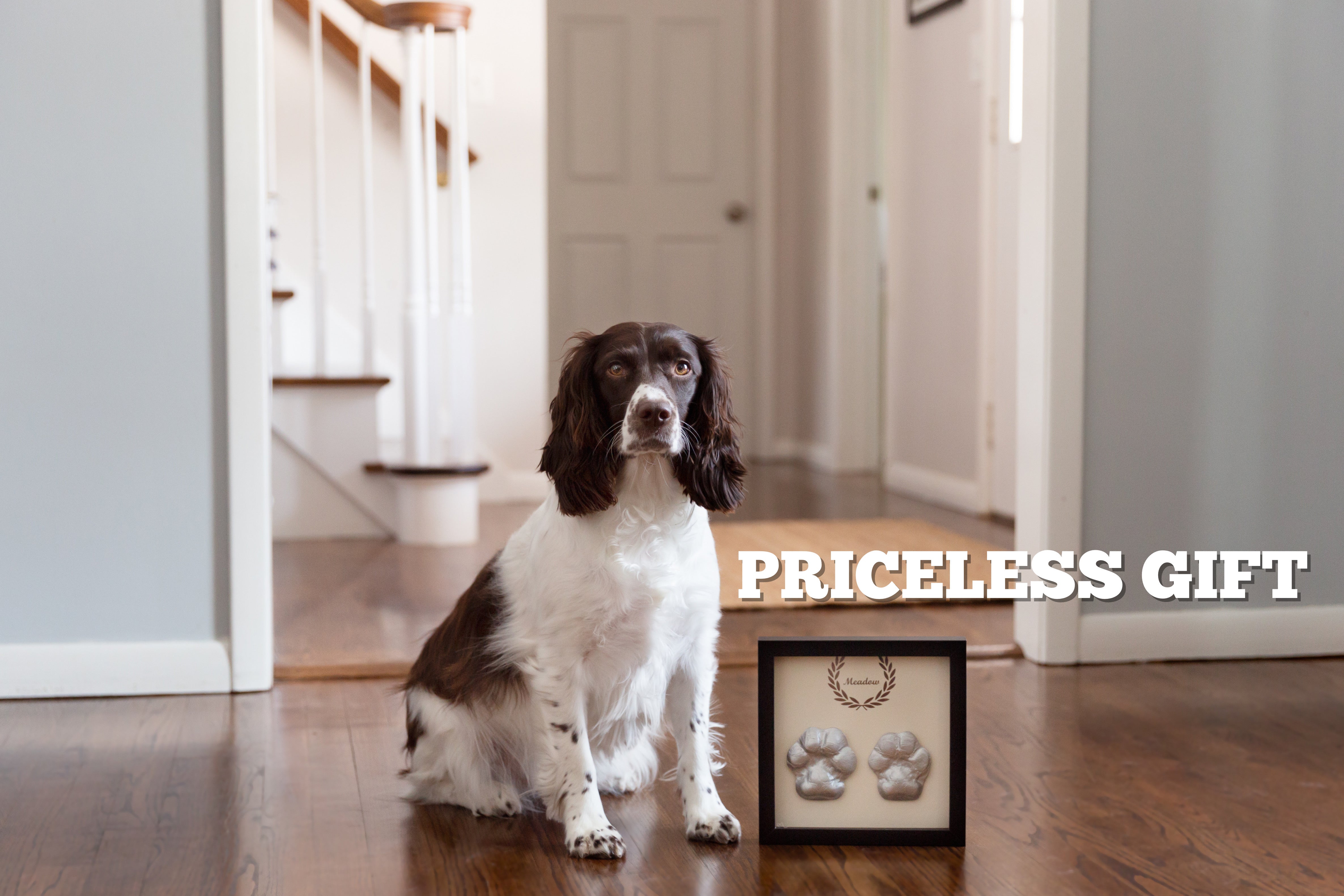 DIY hand and foot casting kit for baby and paw casting kit for dog/cat ...